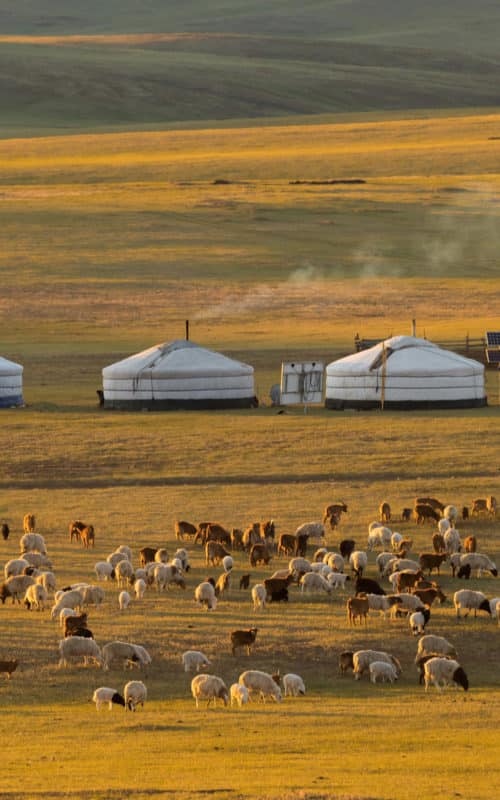 Steppes Beyond | Mongolia & Chad - Beyond The Ordinary - Steppes Travel