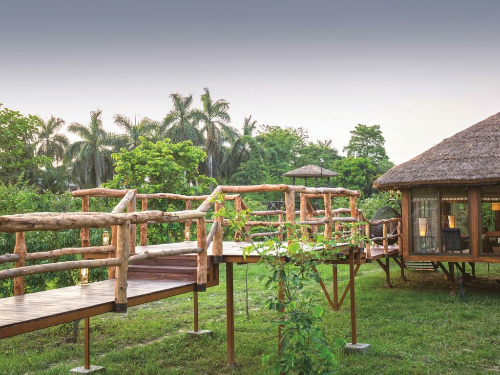 Dudhwa National Park Holidays - India - Steppes Travel