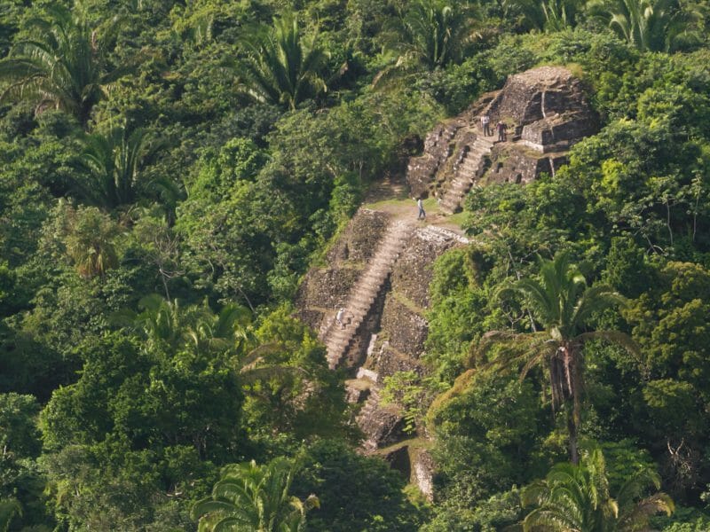 Conservation & Wildlife in Belize - Itinerary -Steppes Travel