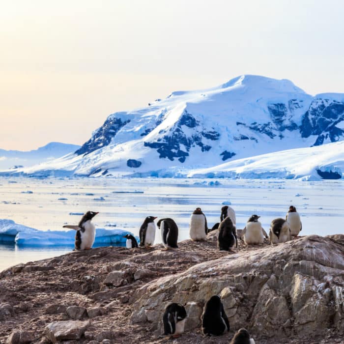 8 of the Best Destinations for Cold Holidays - Steppes Travel
