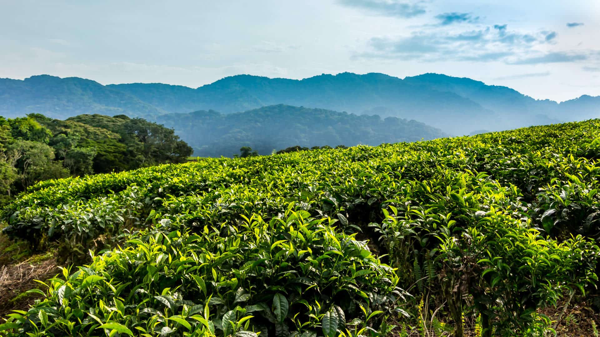 Holiday Types - Steppes Travel