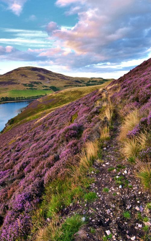 Scotland Holidays - Wilderness Escapes - Steppes Travel