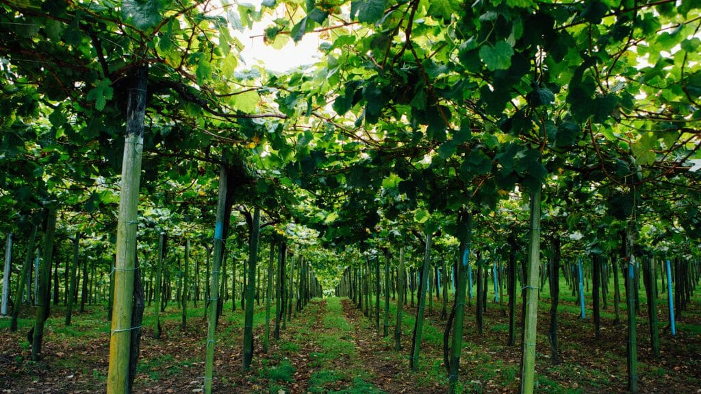 The Basque Country - Spain - Steppes Travel