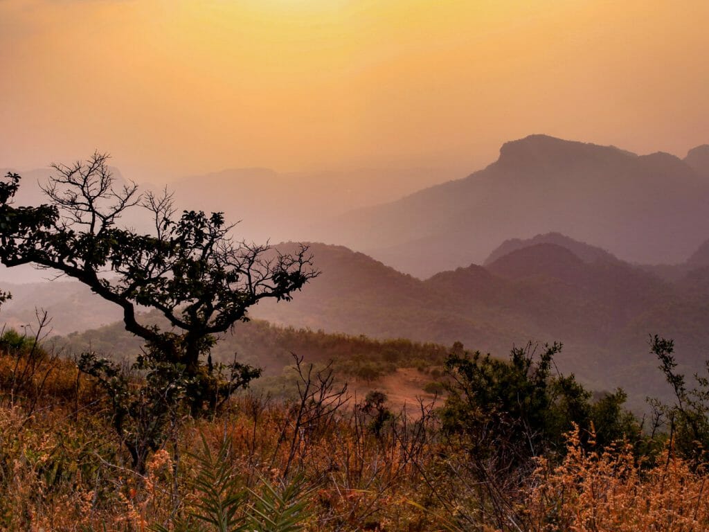 Satpura National Park - Tiger Safari Holidays - India | Steppes Travel