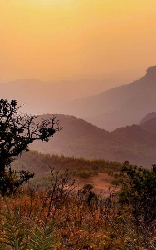 Satpura National Park - Tiger Safari Holidays - India | Steppes Travel