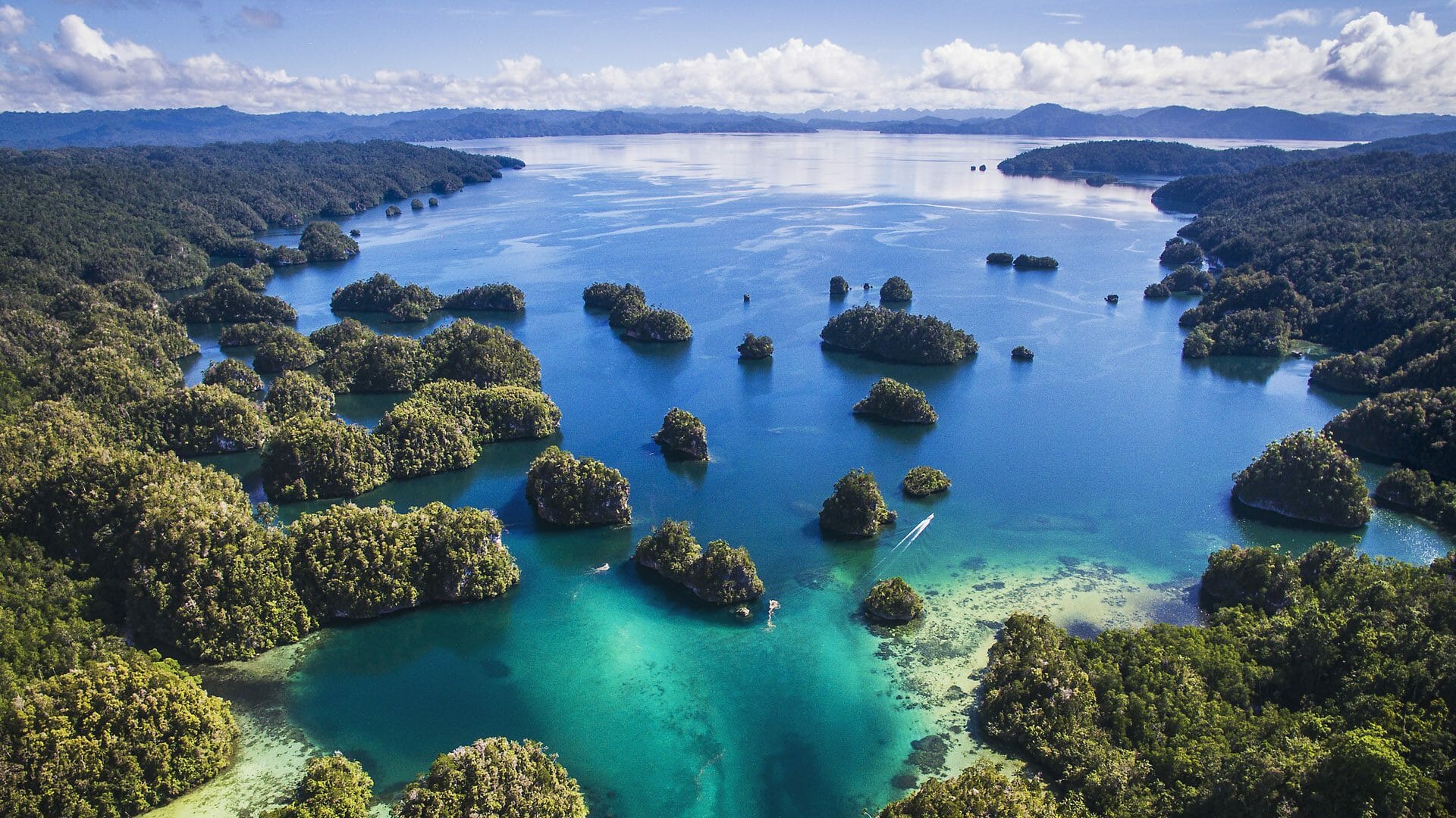 Indonesia | Nine-day Raja Ampat cruise tailored by Steppes Travel