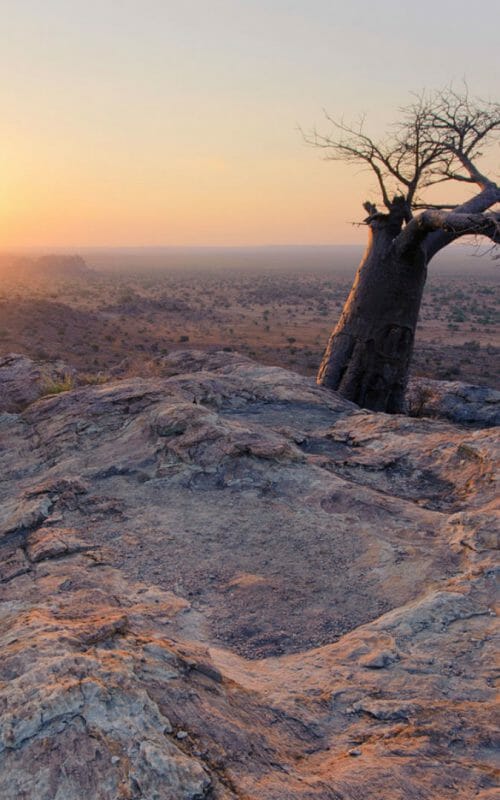 Tuli Block, Botswana holidays - Steppes Travel