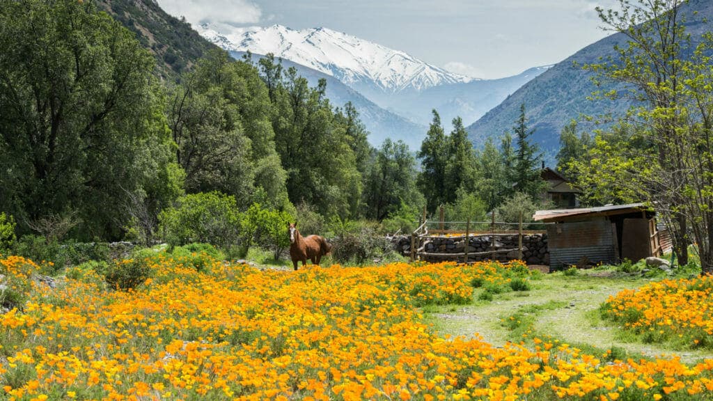 Luxury Chile Holidays for the Adventurous Traveller