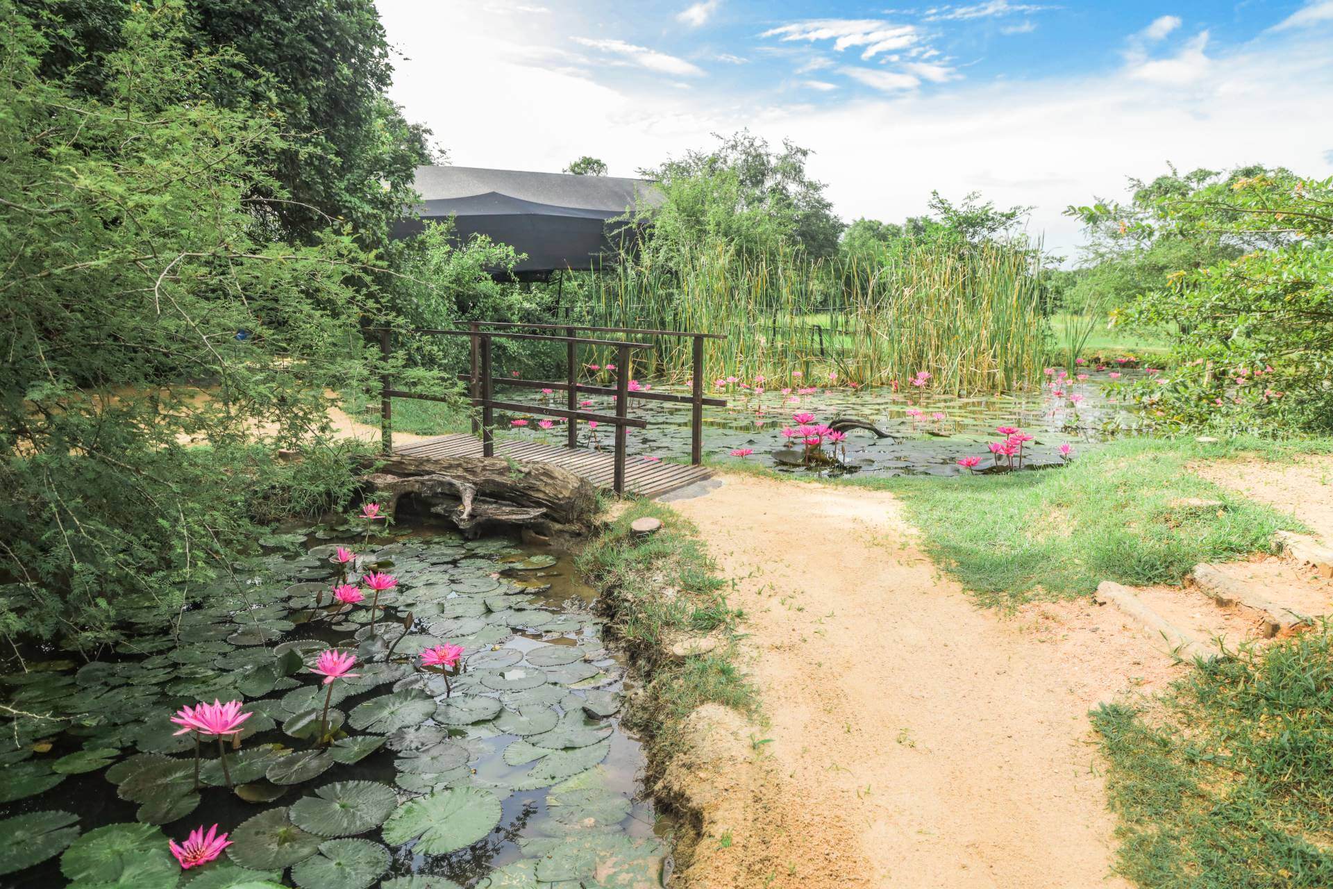 Leopard Trails Wilpattu Campsite - Steppes Travel