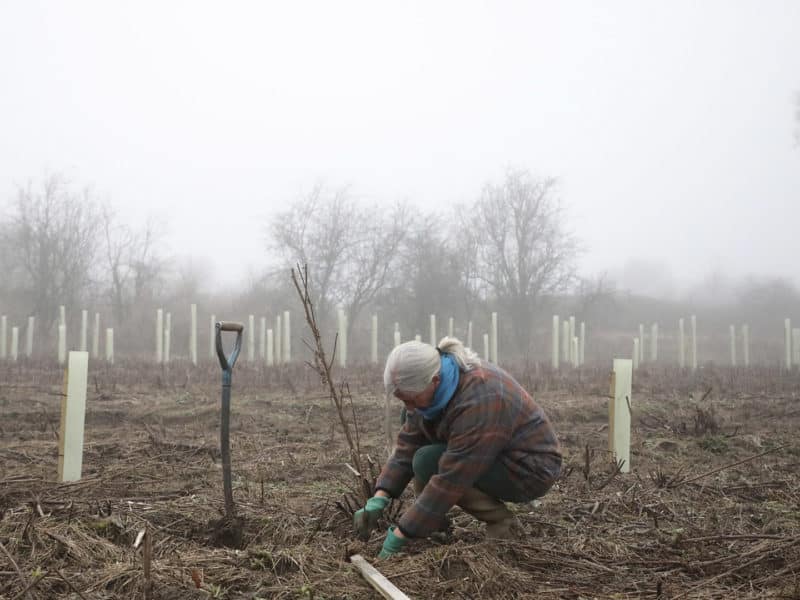 Blog: Discover the wildlife of the United Kingdom with Fergus Beeley