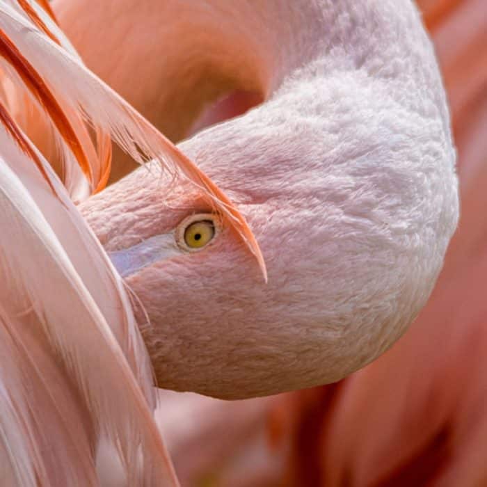 Wild World by Alfie Bowen - Steppes Travel