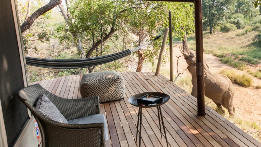 Garonga Safari Camp - Steppes Travel